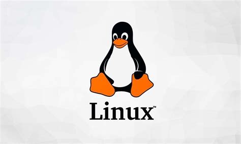 Ventajas Y Desventajas De Linux Flashcards