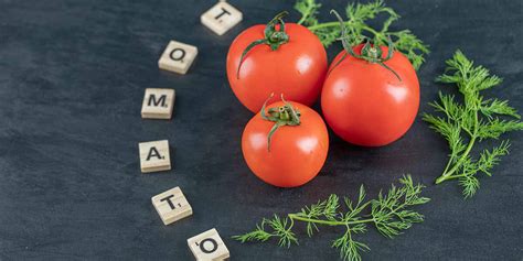 What Nutrients Do Tomatoes Need To Grow A Garden Patch