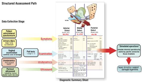 The Itds Diagnostic Decision Tree On The Left Are The Six Separate