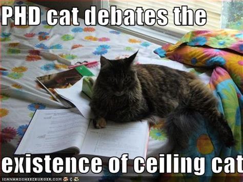 Phd Cat Debates The Existence Of Ceiling Cat Funny Cat Memes Cats Cat Memes
