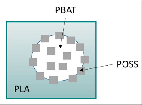 The Location Of The Compatibilizer At The Interface Of Pla Pbat Blends Download Scientific