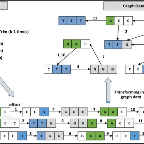 Converting The Original Sequence Data To A Graph Data Download