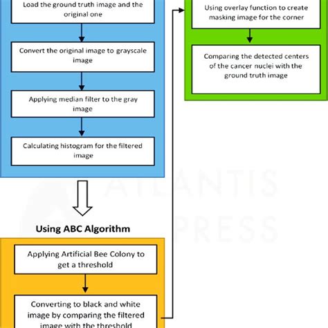 Flowchart Of Artificial Bee Colony Abc Algorithm Download