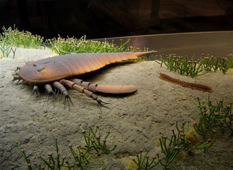 Prehistoric Giant Centipede