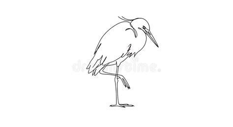 Elegant One Line Art Stock Illustrations 27825 Elegant One Line Art