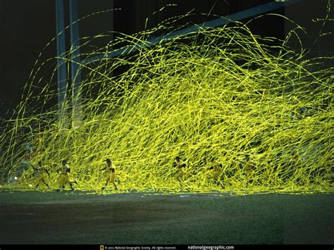 關於兄弟象股 兄弟象股份有限公司