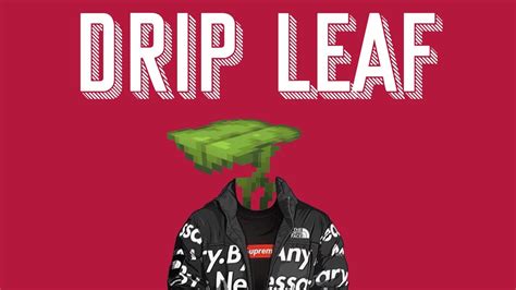 What Does A Drip Leaf Do In Minecraft At Andy Downey Blog
