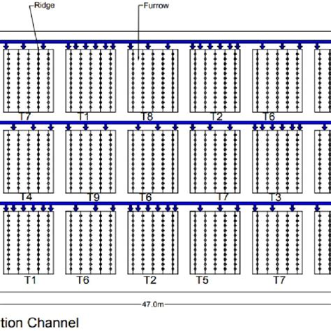 Layout Of Experimental Plots Ttreatment R Replication Download
