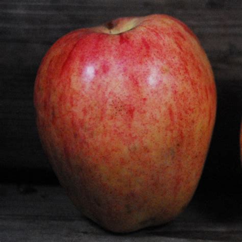 Chenango Strawberry Apple Walden Heights Nursery And Orchard