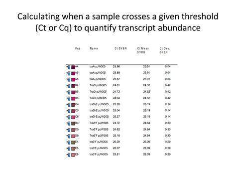 ppt measuring rna transcript levels powerpoint presentation free