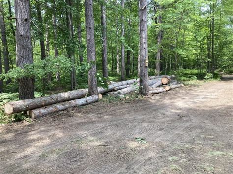 Small Scale Loggingmilling Question Rforestry