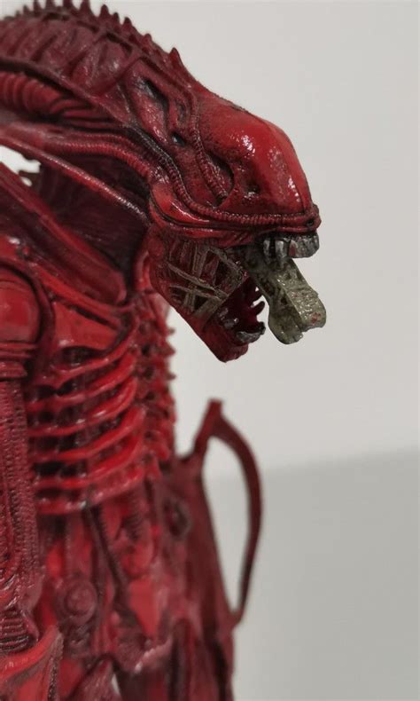 Neca Red Xenomorph Warrior Alien Hobbies And Toys Toys And Games On Carousell