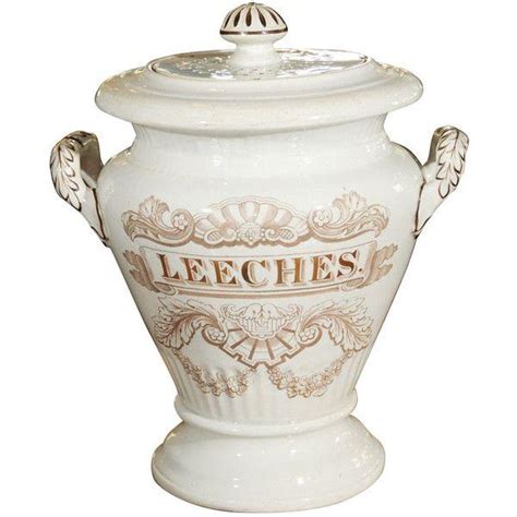 100 Small Live Leeches Veronicas Special