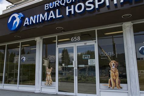 Animal Hospital Jonestown Road At Fred Luis Blog