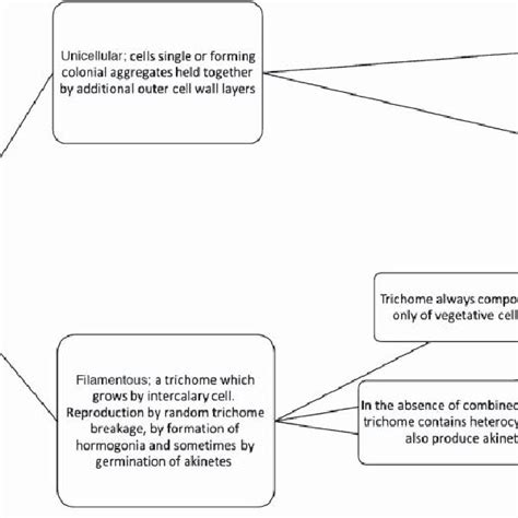 1 A Broad Classification Of Cyanobacteria As Originally Proposed By
