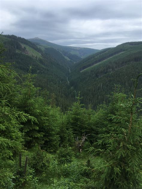 Jarosław Gajewski Aktor Badacz Teatrologia Info