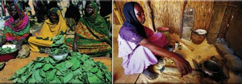 Spirulina Ladies Of Chad Spirulina Source