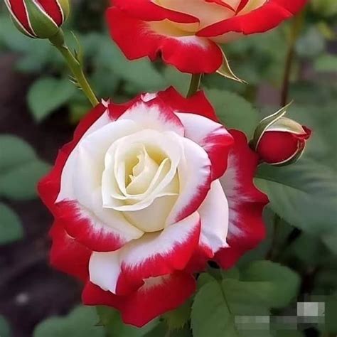 Hakimullah Qadari Zhakimullah • Threads Say More