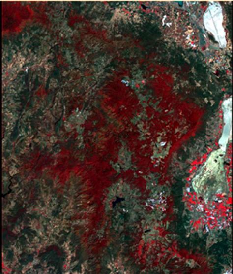 Image With Topographic And Atmospheric Correction Download