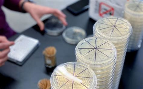 Rare Earth Elements Matentx Materials And Energy Transformations