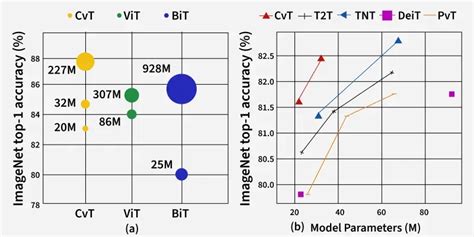 Convolutional Vision Transformer Geeksforgeeks
