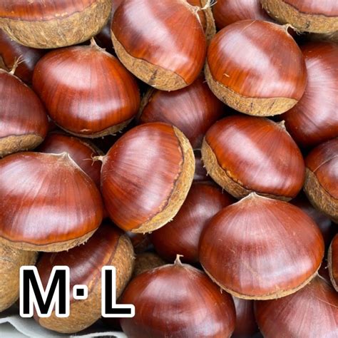 生栗 栗 くり 無農薬 15キロ メルカリ