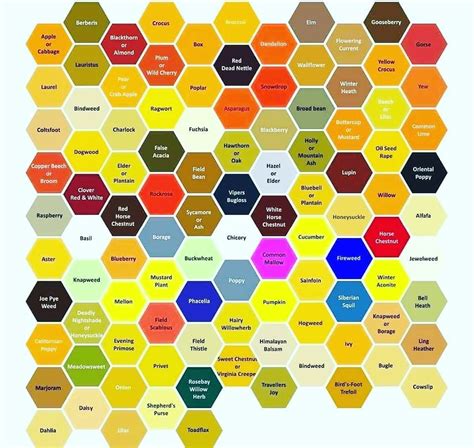 Pollen Identification Chart Blackwater Honey Facebook