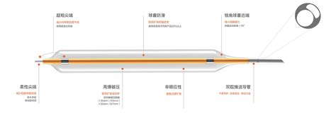 外周球囊扩张导管 Pta Balloon Dilatation Catheter 苏州鼎科医疗技术股份有限公司