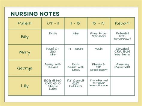 Transitioning To Nursing Practice What To Expect Year One Vivian