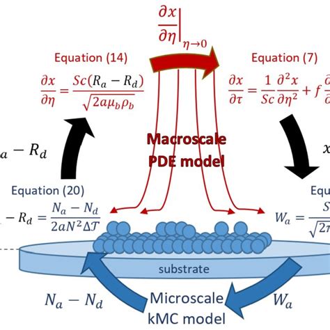 The Multiscale Feedback Loop Of The Chemical Vapour Deposition Cvd