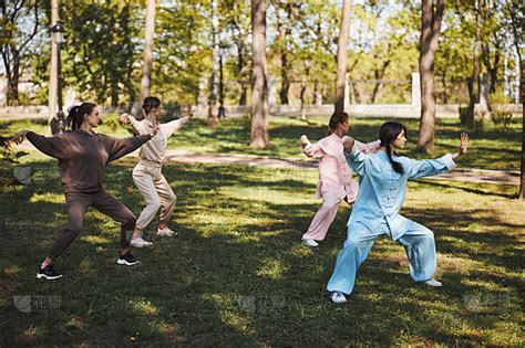 四个人在户外的草地上练太极