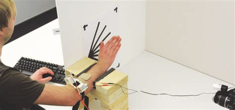 Apparatus For Study A Visual Barrier Prevented Participants From