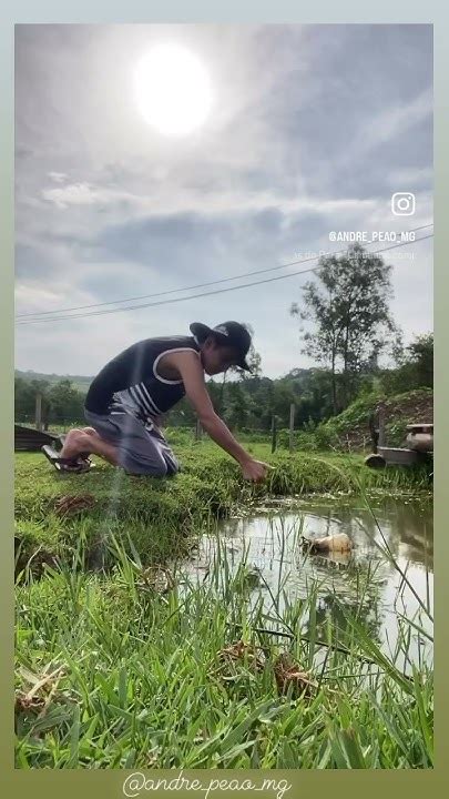 Memesdaily Meme Pesca Humorbrasil Exploremore Exploremore Viral