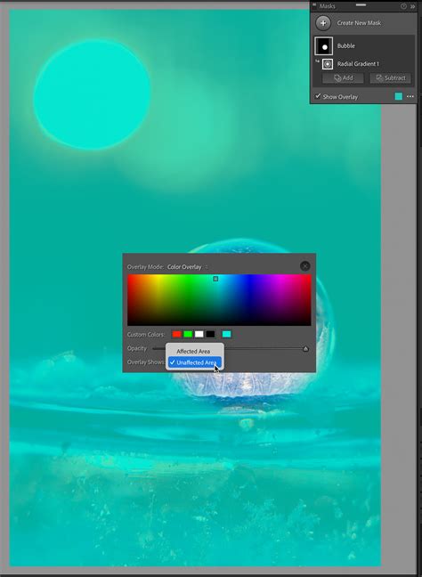Exploring Masking Overlay Options Lightroom Killer Tips