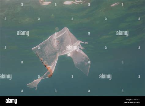 Plastic Trash In Sea Hi Res Stock Photography And Images Alamy