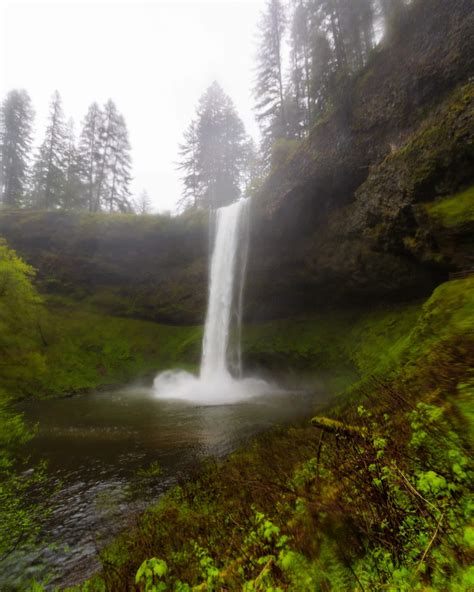 Trail Of Ten Falls Complete Hiking Guide To Silver Falls State Park