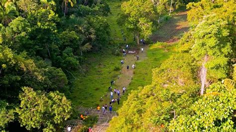 Pagtatag Ng Tree Park Isinusulong Ni Archbishop Uy Veritasph
