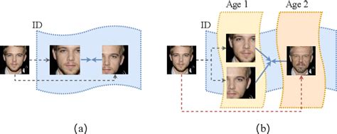 Cross Age Contrastive Learning For Age Invariant Face Recognition Paper And Code Catalyzex