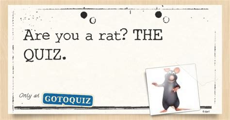 Are You A Rat THE QUIZ