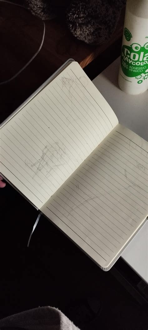 I Am Recreating Ellies Journal For My Bf Birthday Opinions R Thelastofus2
