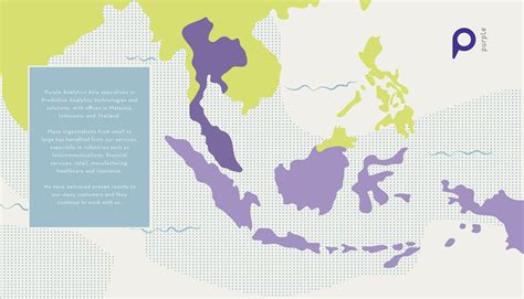 Purple Analytics Asia