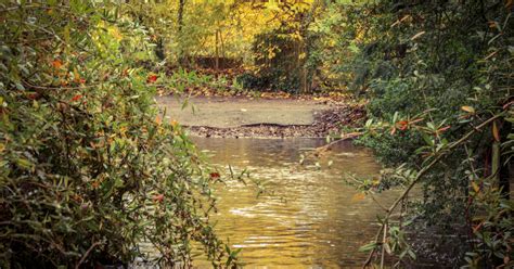 The Bed Of The Couple The Irish Pagan School