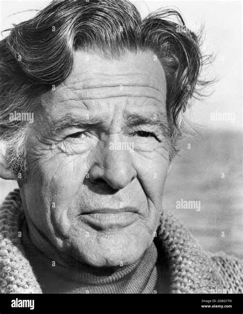 Robert Ryan