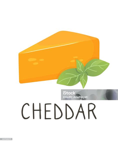 바질을 곁들인 체다 치즈 슬라이스 유기농 농장 식품 디자인 요소 로고 포스터 메뉴에 대한 만화 평면 그림 흰색 배경에 고립되어