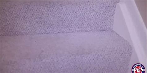 Star And The Bald Guy