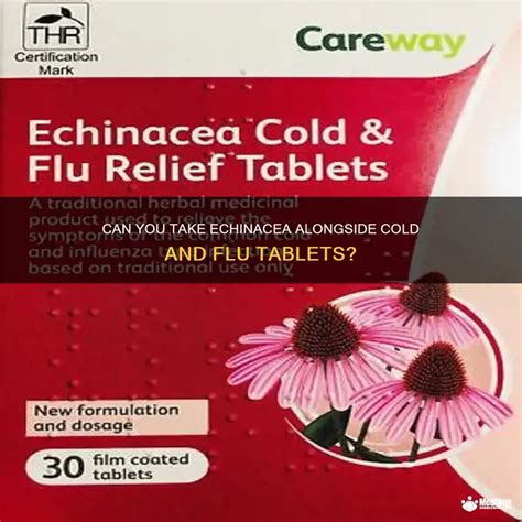 Can You Take Echinacea Alongside Cold And Flu Tablets Medshun