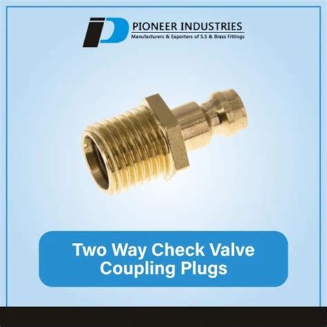 Brass Two Way Check Valve Coupling Plug At Best Price In Mumbai Id
