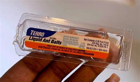 Terro Ant Bait Review Comprehensive Overview
