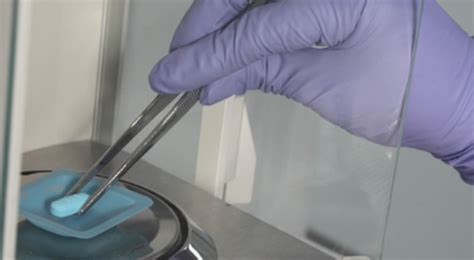 Solid Dose Manufacturing