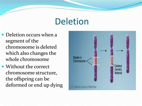 Ppt Errors And Exceptions In Chromosomal Inheritance Powerpoint Presentation Id1924527